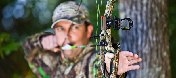 Broadheads Explained: Important Elements for the Success of Your Hunt ...