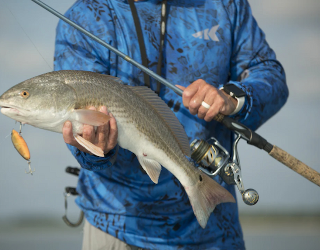 Saltwater Fishing Poles 101: A Beginner’s Guide to Choosing the Right ...